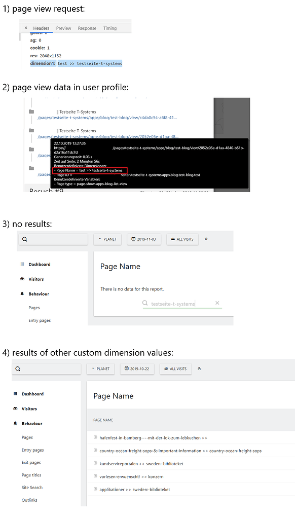 Some custom dimension data is not displayed - Support & Bugs - Matomo forums