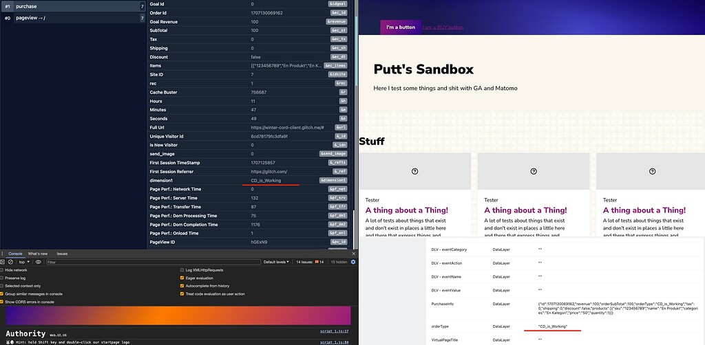Custom Dimension on a Ecommerce purchase - General questions - Matomo forums