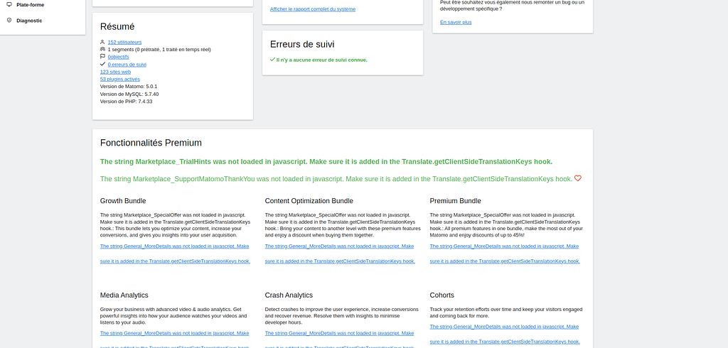 Lot Of Translation Errors After Upgrade To Matomo 501 The String Was Not Loaded In